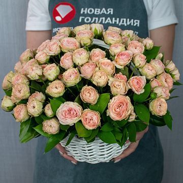 Доставка цветов круглосуточно
